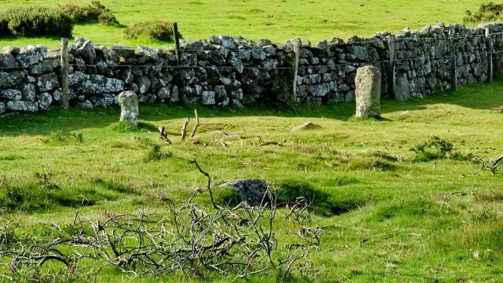 Buckland Beacon, Ten Commandments Stone | 35 Self-Guided Dartmoor Walks ...