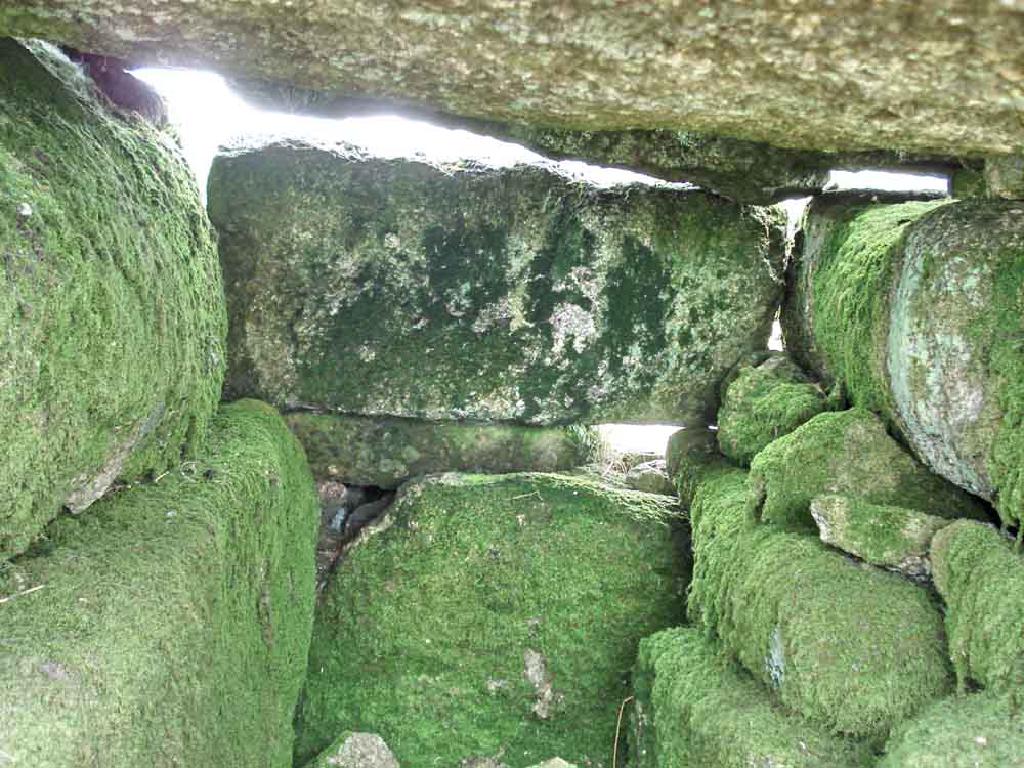Foxtor Mire and Childe's Tomb | 38 Self-Guided Dartmoor Walks with Maps ...
