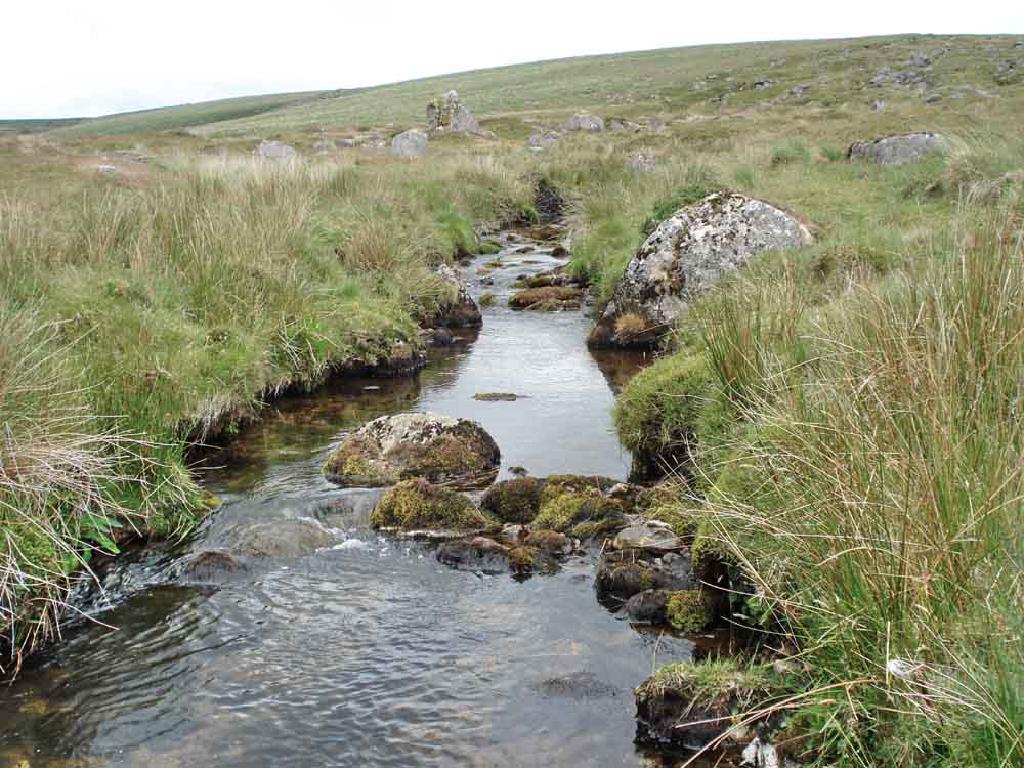 Foxtor Mire and Childe's Tomb | 38 Self-Guided Dartmoor Walks with Maps ...
