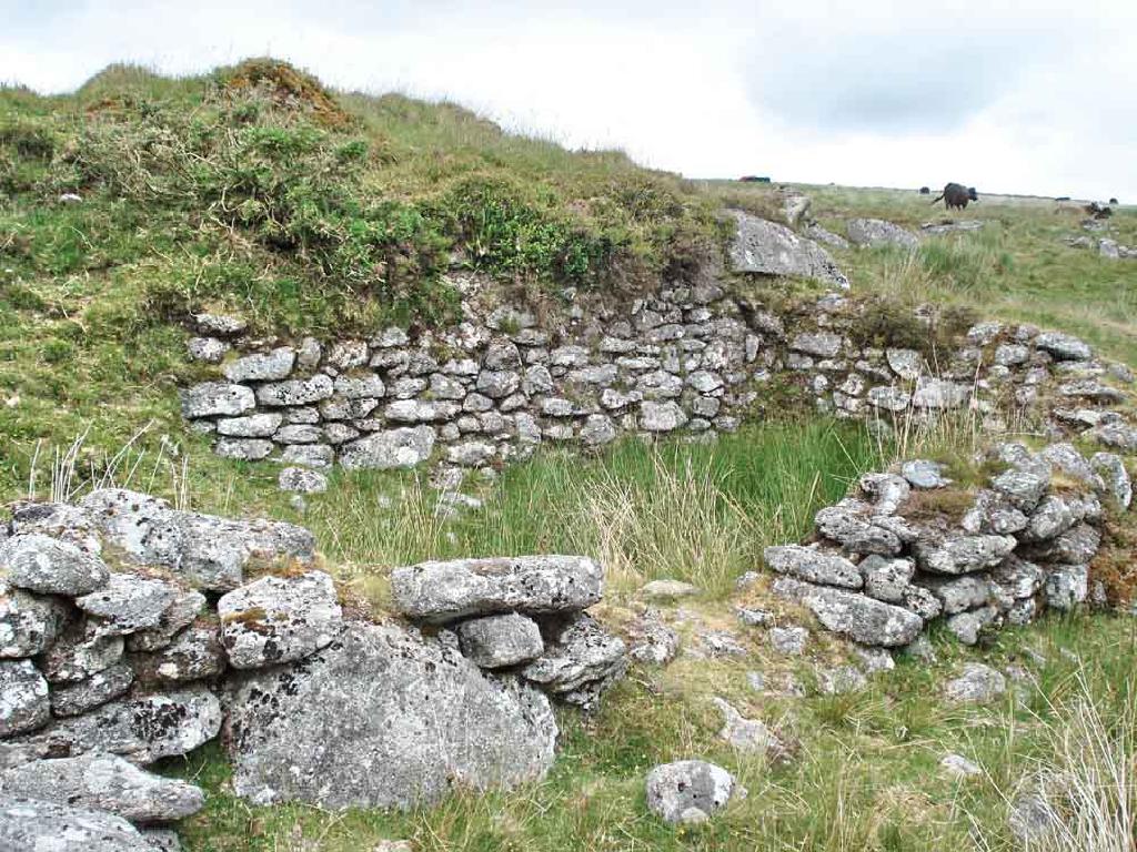 Foxtor Mire and Childe's Tomb | 38 Self-Guided Dartmoor Walks with Maps ...