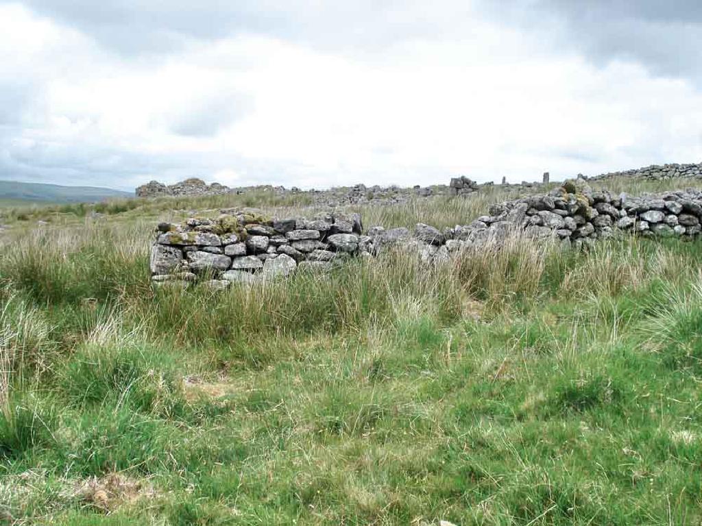 Foxtor Mire and Childe's Tomb | 38 Self-Guided Dartmoor Walks with Maps ...