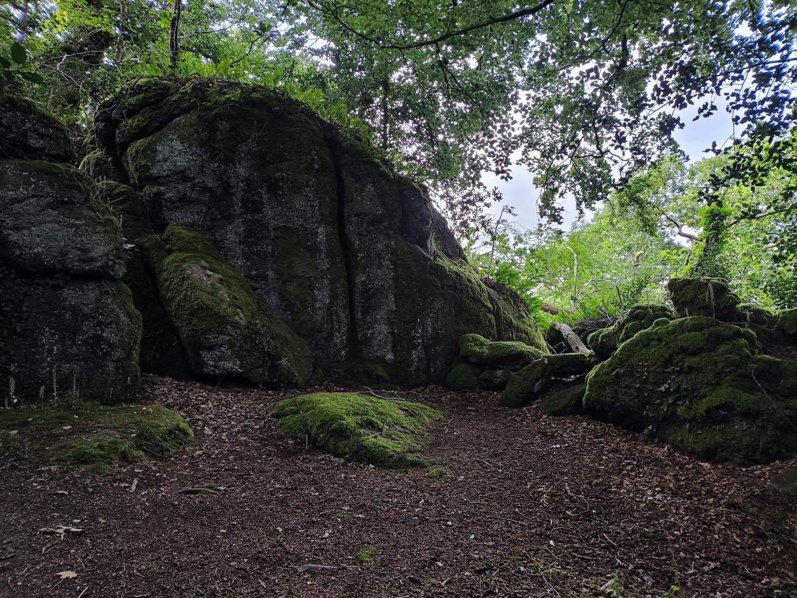 42 Self-Guided Dartmoor Walks with Maps & Local Knowledge | Dartmoor ...